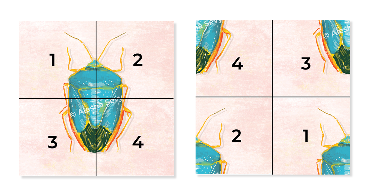 Surface Pattern Design Basics for Every Aspiring Pattern Designer ...